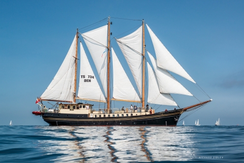 Aarhus – Helsinki TSR 2013 – Tall Ships Gallery