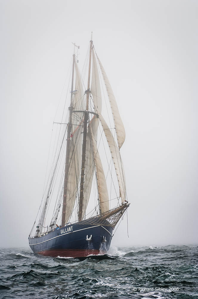 de Gallant – Tall Ships Gallery